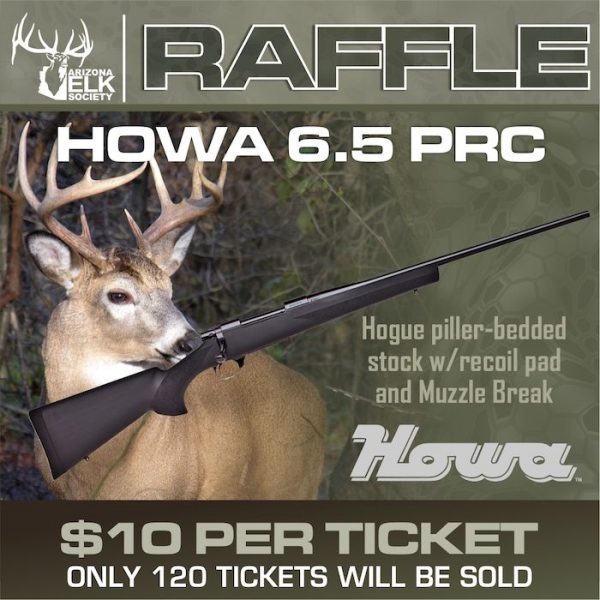 AES General Store | Invest in Your heritage. Monies raised from the AES ...